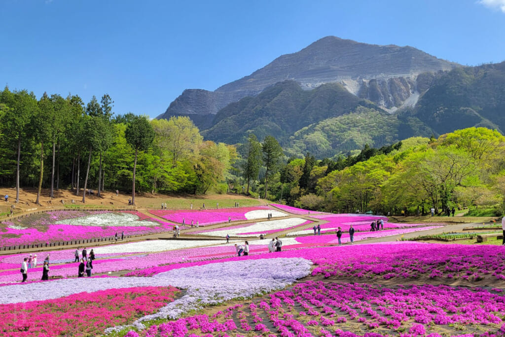 Hitsujiyama Park | Chichibu Villa -komura-